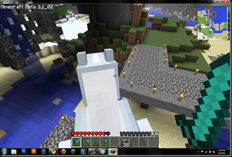 Minecraft Perception